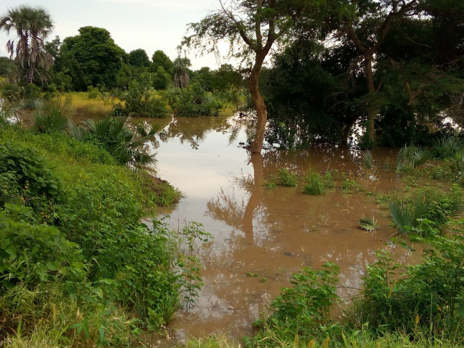 Areas of Impact – ACROSS