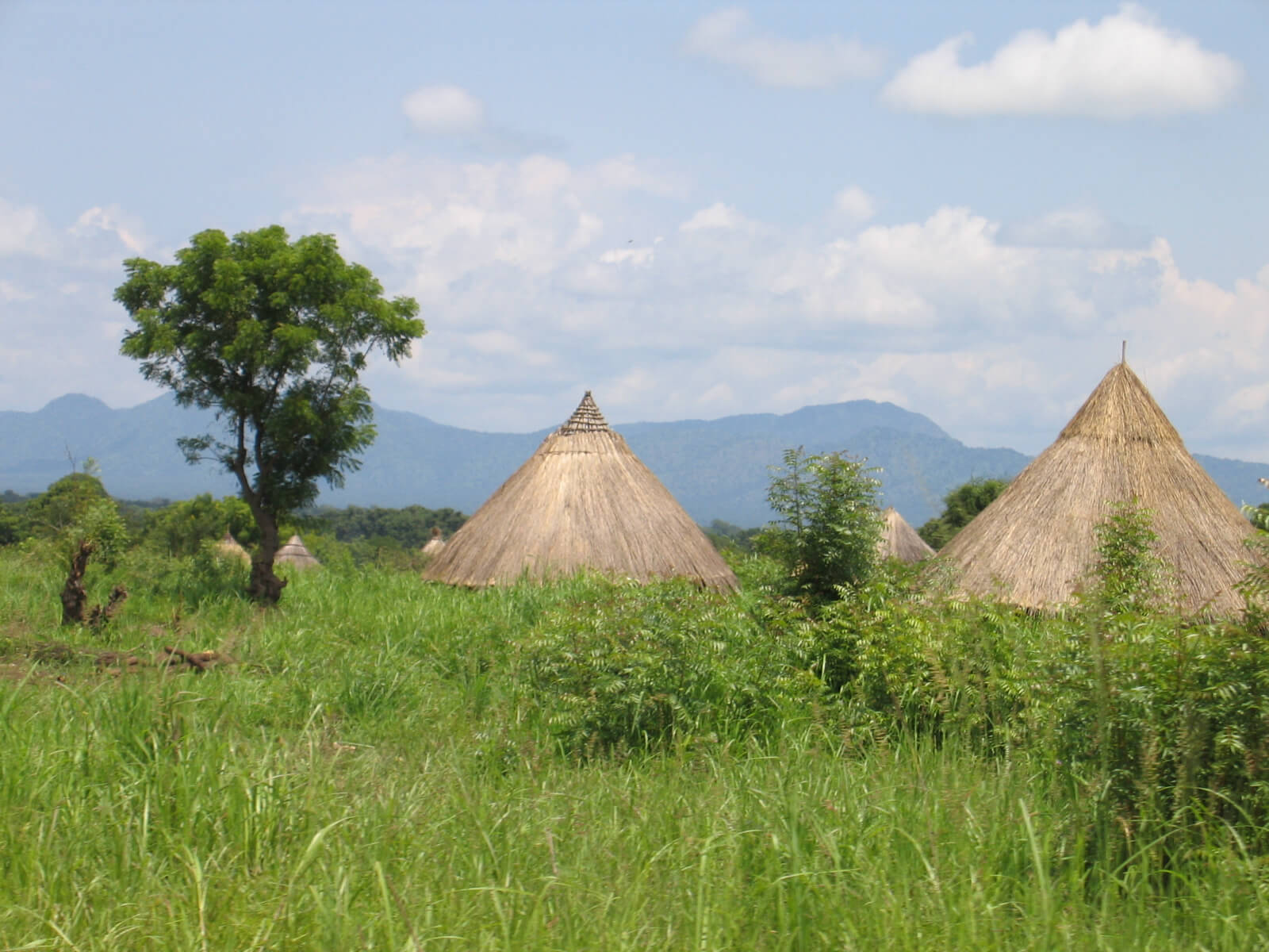 Areas of Impact – ACROSS